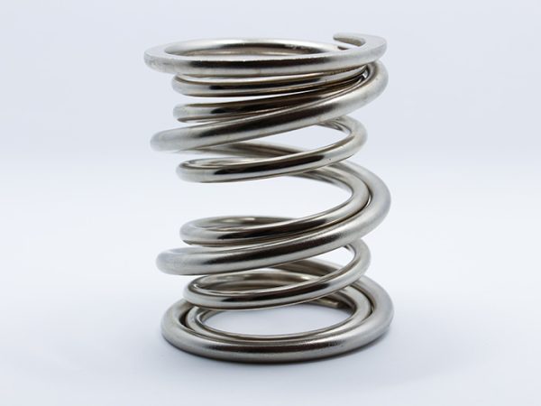 Stainless Steel Spring - YUU SPRING